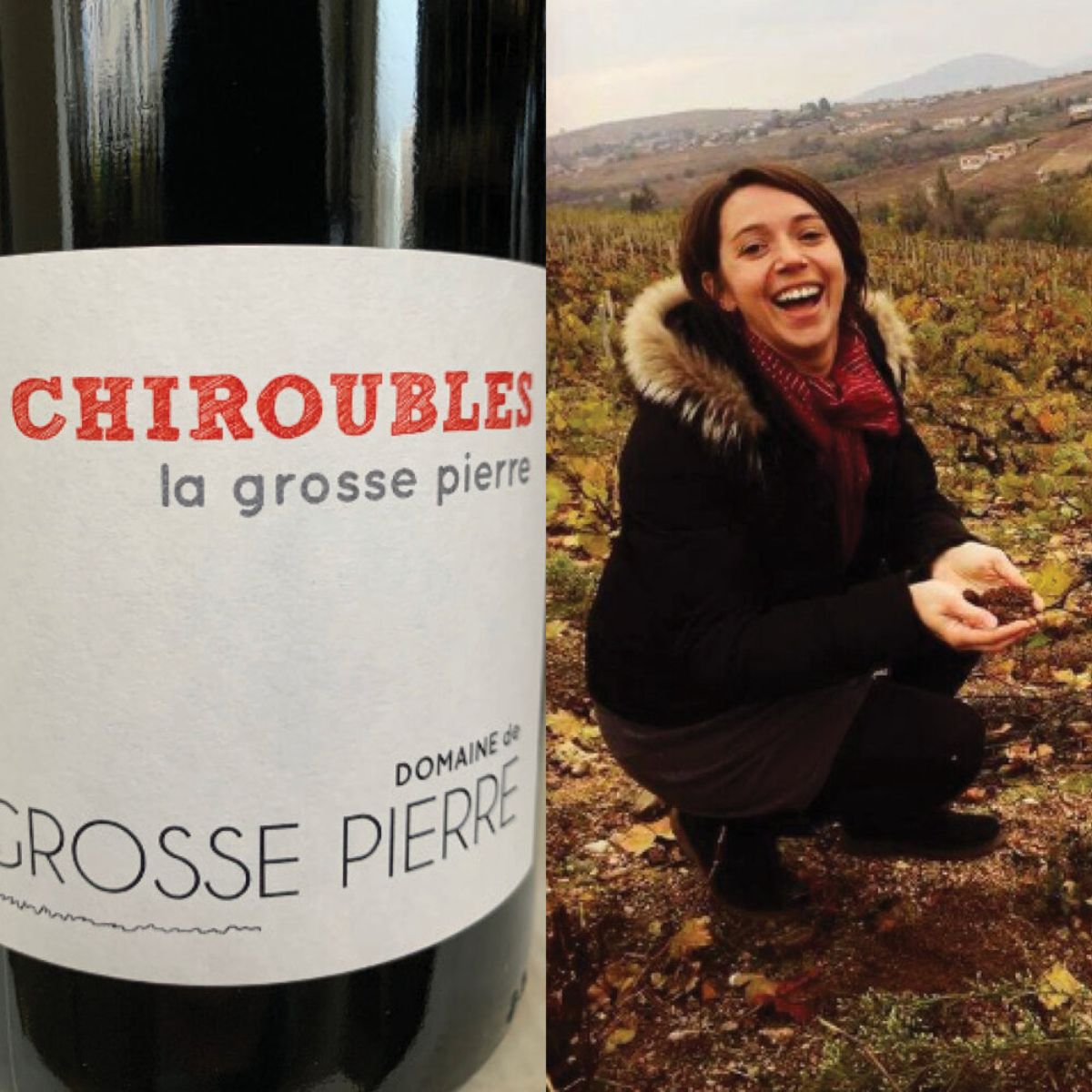 Domaine De La Grosse Pierre – NY Vintners